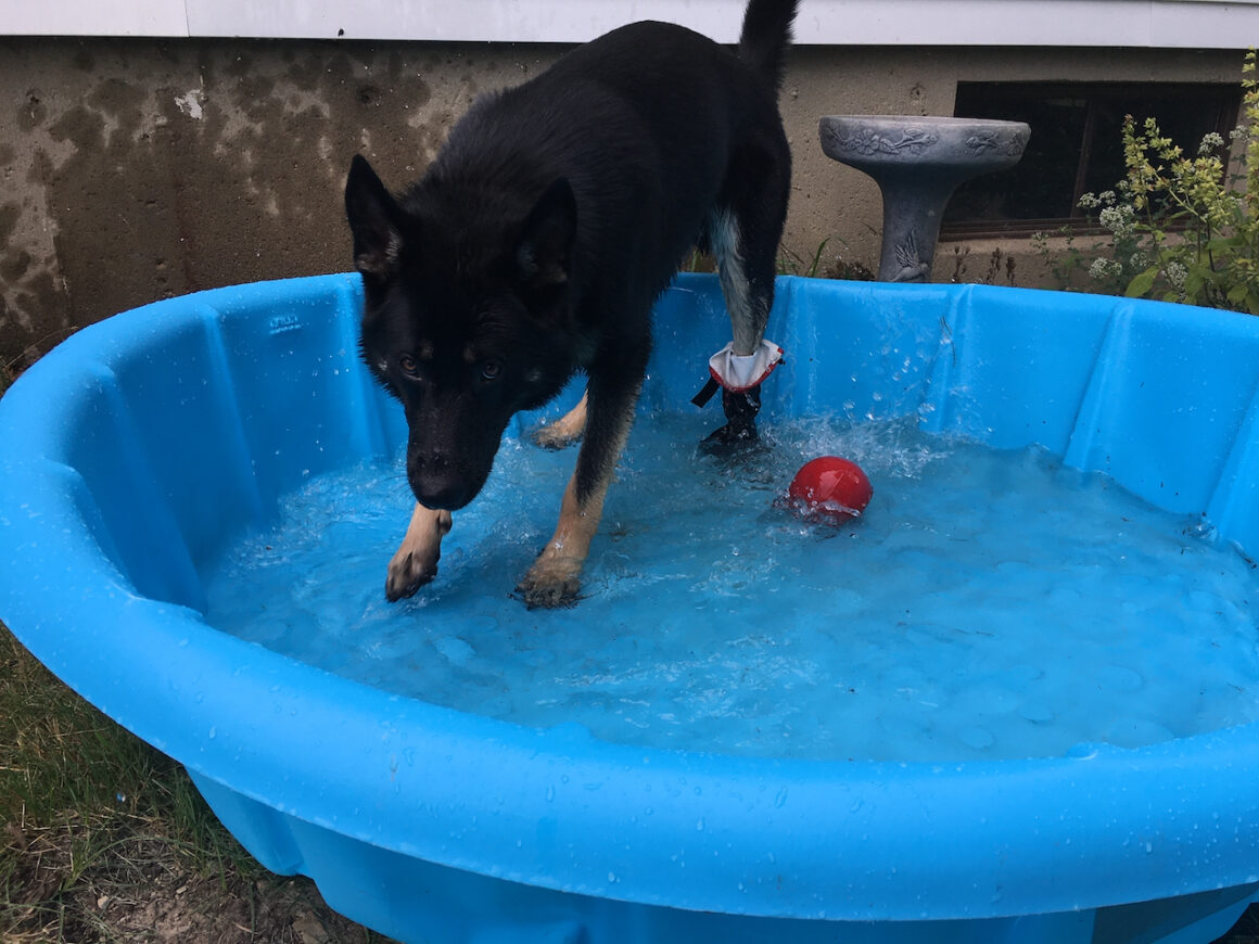 H20Go! Wading Pool - Made by BestwayUSA* | Keep It Made USA